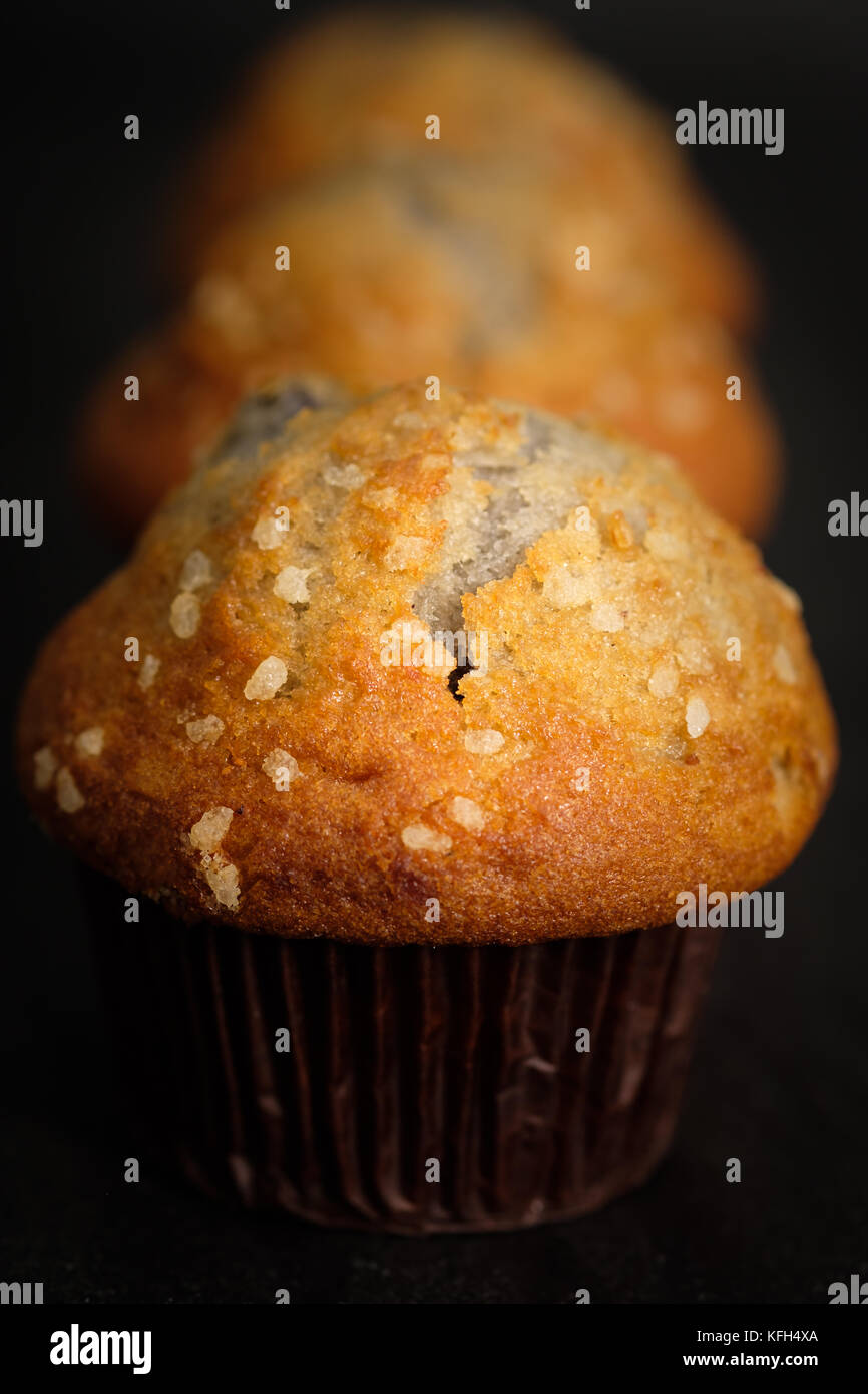Still life of line up blueberry muffins in a rustic style. Select the ...
