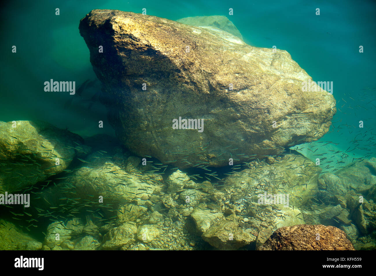 Stone in the Sea Stock Photo - Alamy