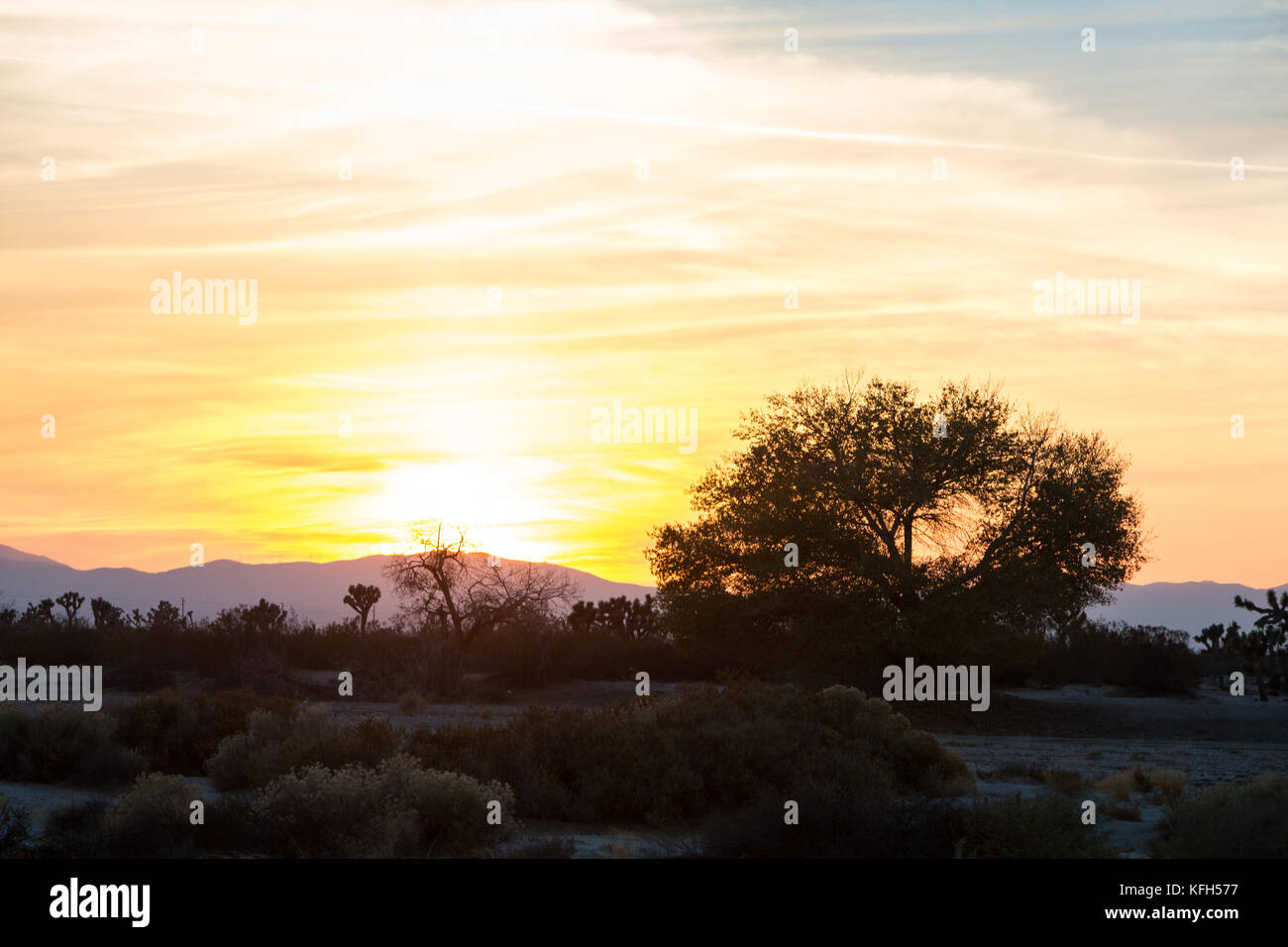A beautiful sunset in the desert Stock Photo - Alamy