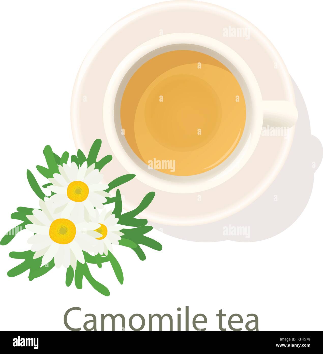 White chamomile flower top Stock Vector Images - Alamy
