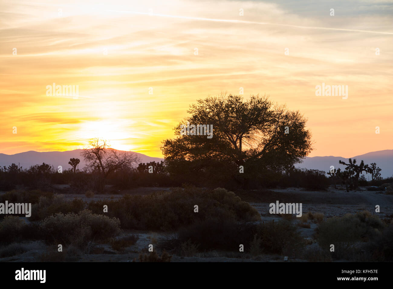 A beautiful sunset in the desert Stock Photo - Alamy