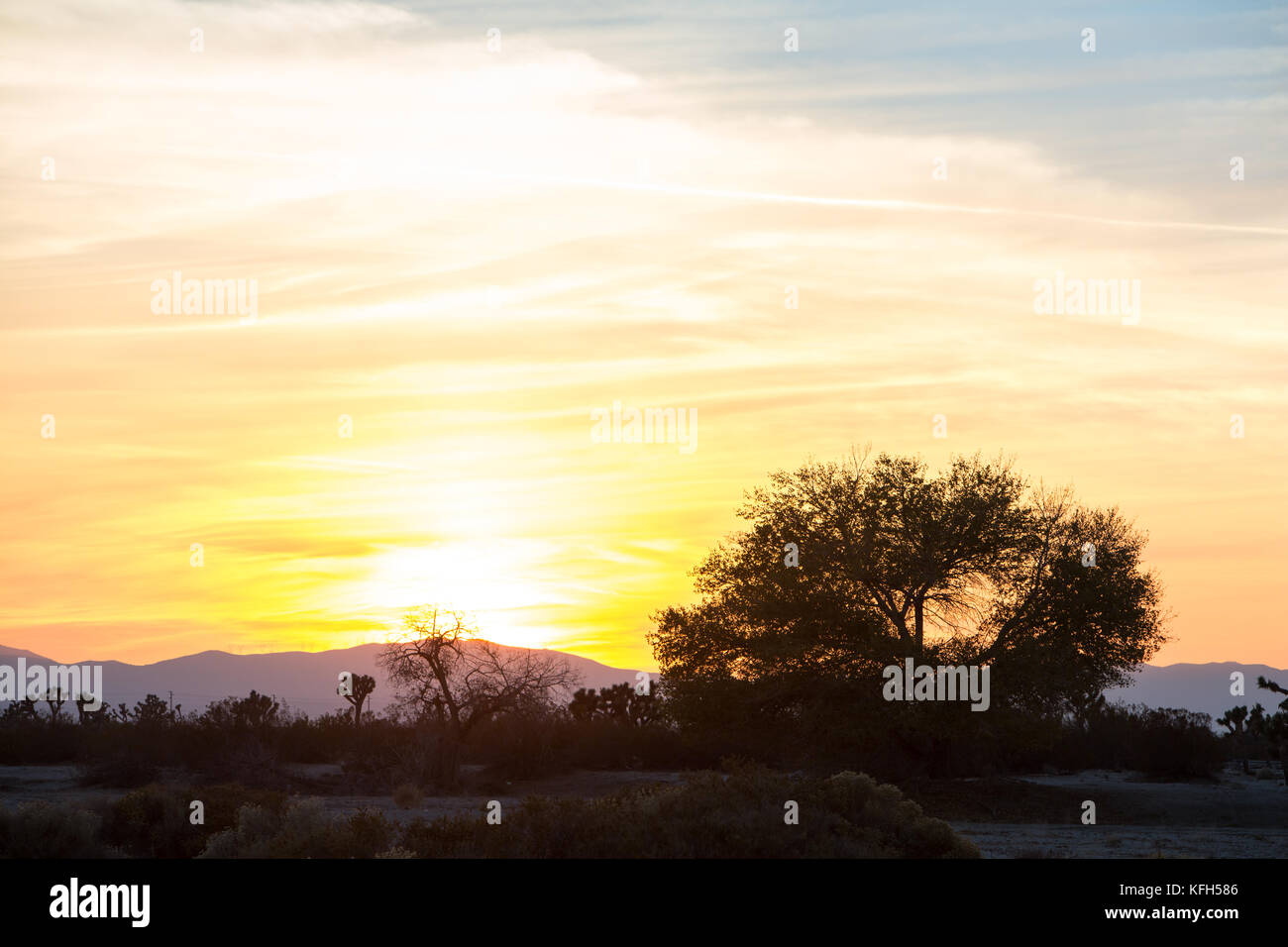 A beautiful sunset in the desert Stock Photo - Alamy