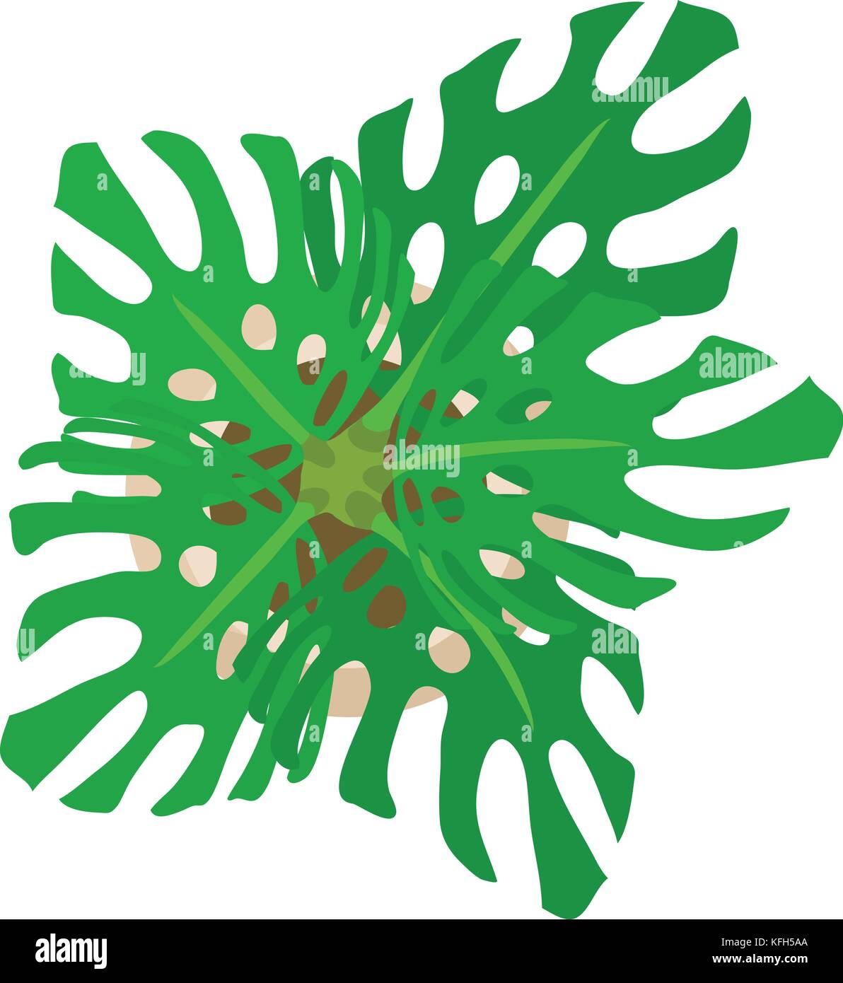 Tropical plant icon, cartoon style Stock Vector Image & Art - Alamy