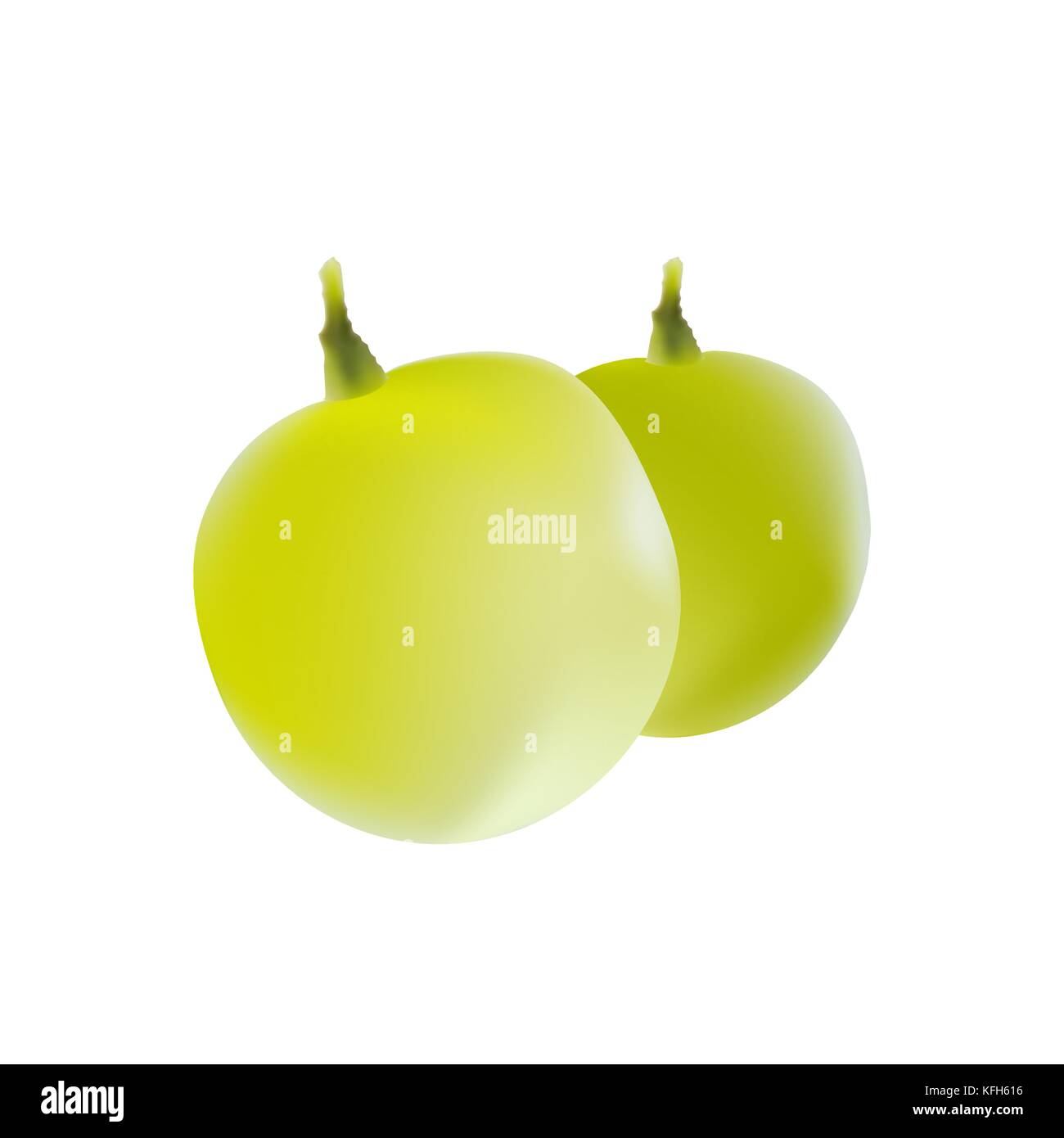 Whole grape fruits Stock Vector Images - Alamy