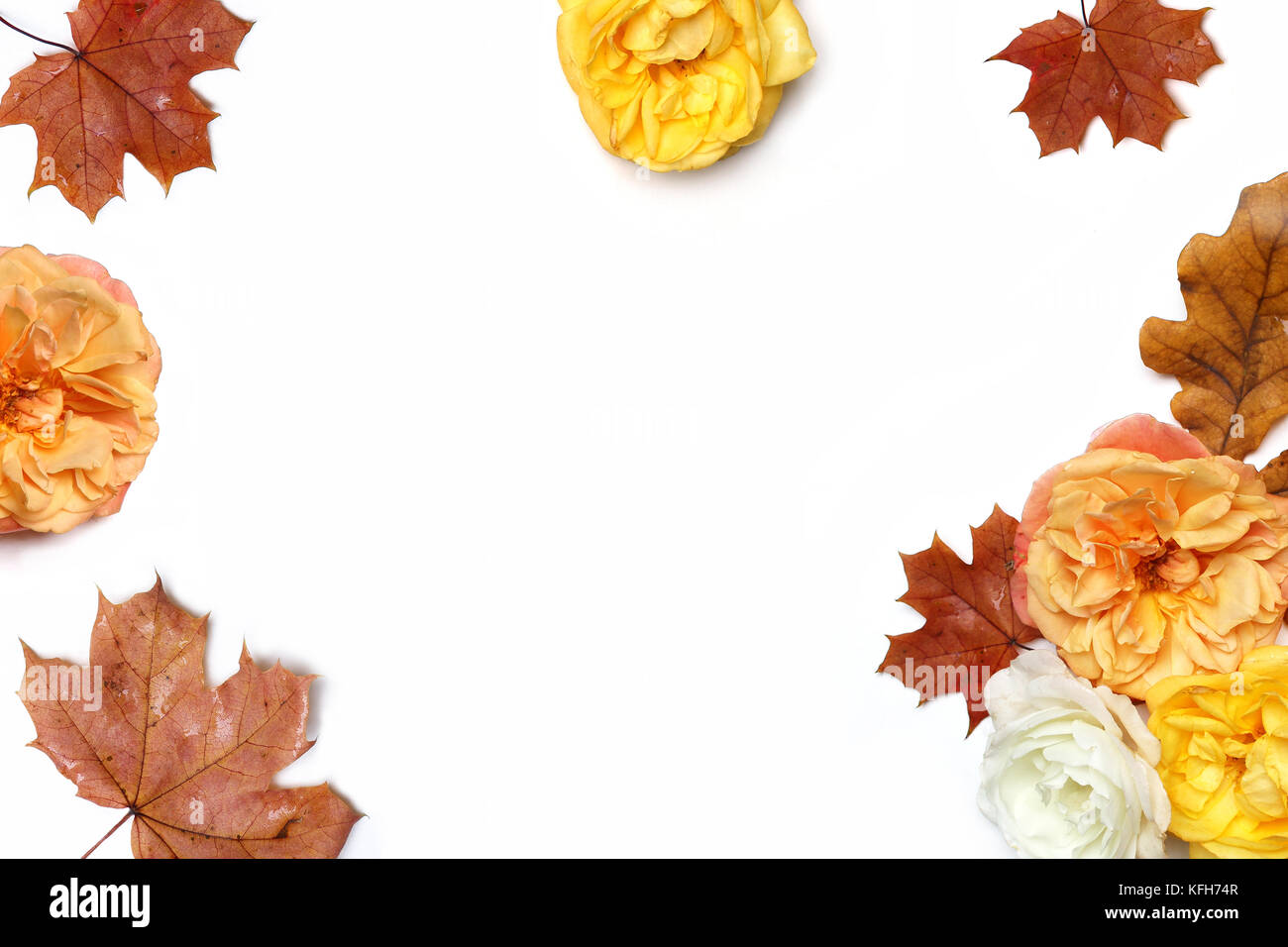 Autumn floral frame made of colorful maple and oak leaves and fading ...