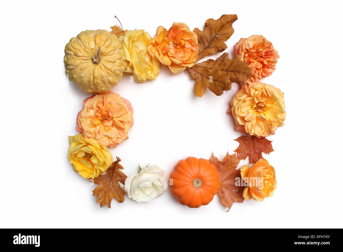 Autumn rose leaves Cut Out Stock Images & Pictures - Alamy