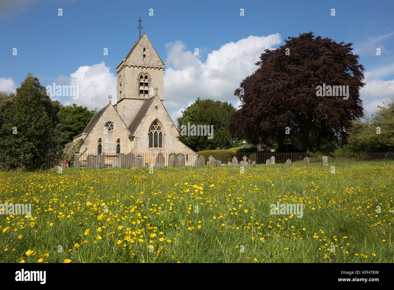 St Nicholas's church and field of yellow buttercups in spring, Hatherop, Cotswolds ...