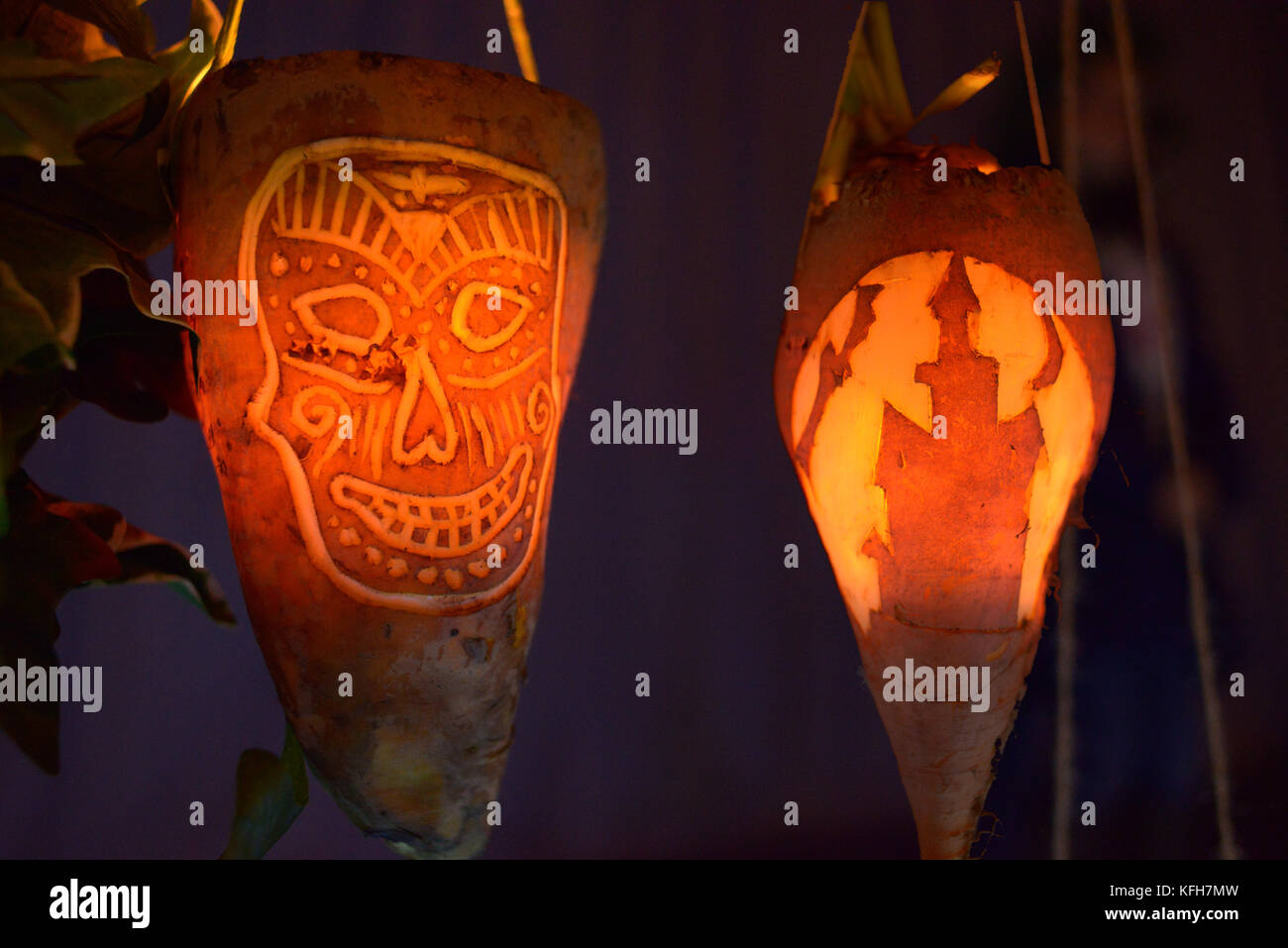 Punkies hi-res stock photography and images - Alamy