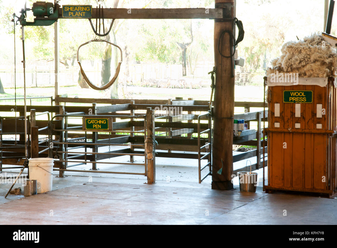 Sheep shearing machine hi-res stock photography and images - Alamy