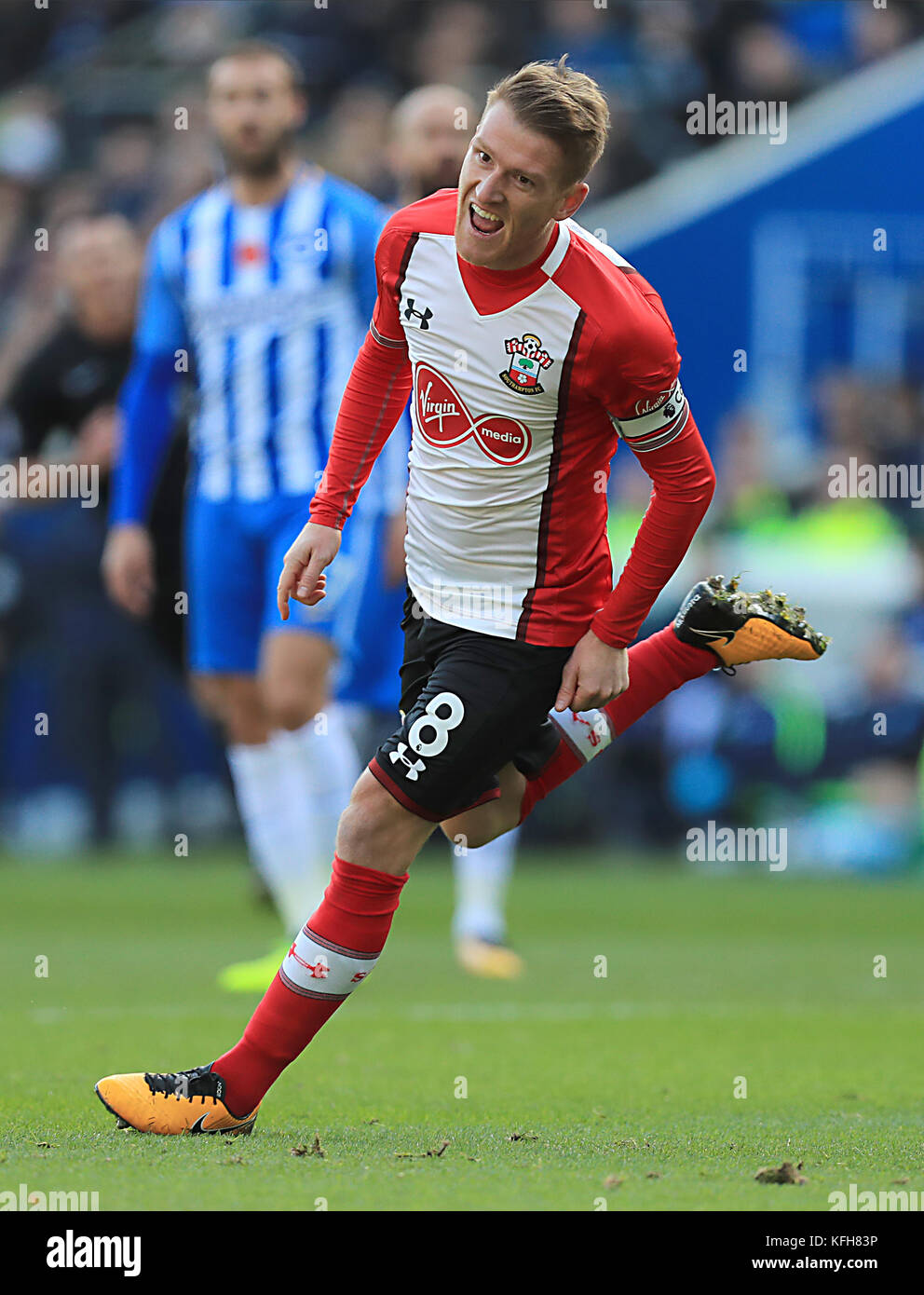 Southampton's Steven Davis celebrates scoring his side's first goal of ...