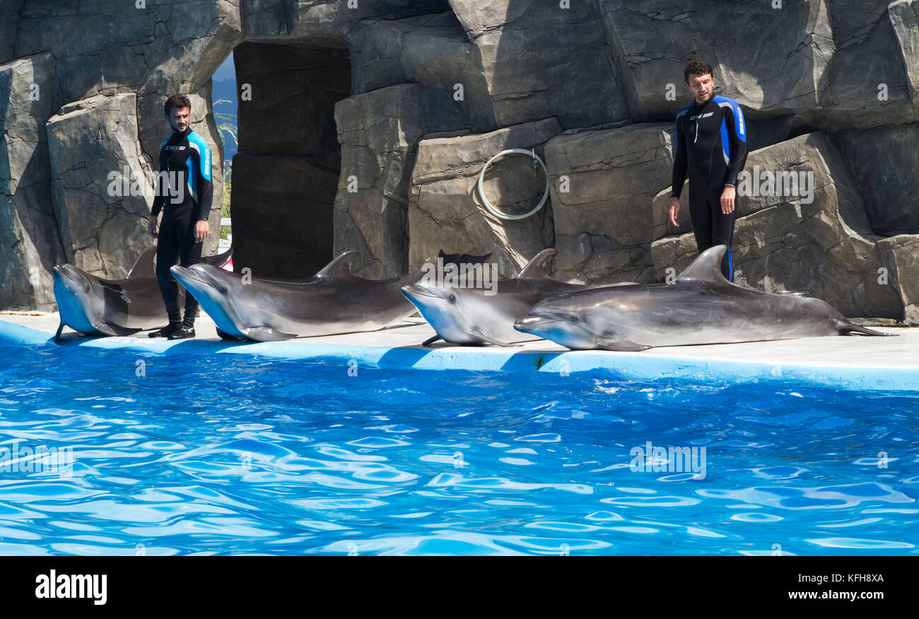 The batumi dolphinarium hi-res stock photography and images - Alamy
