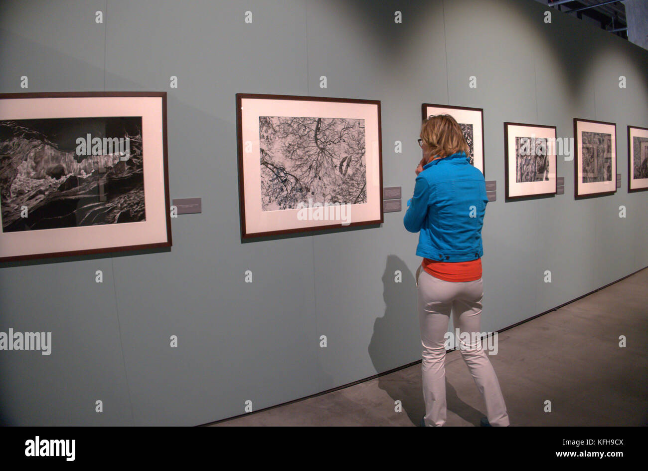 visitors at exposition 'genesis' of photographer Salgado in Rotterdam ...