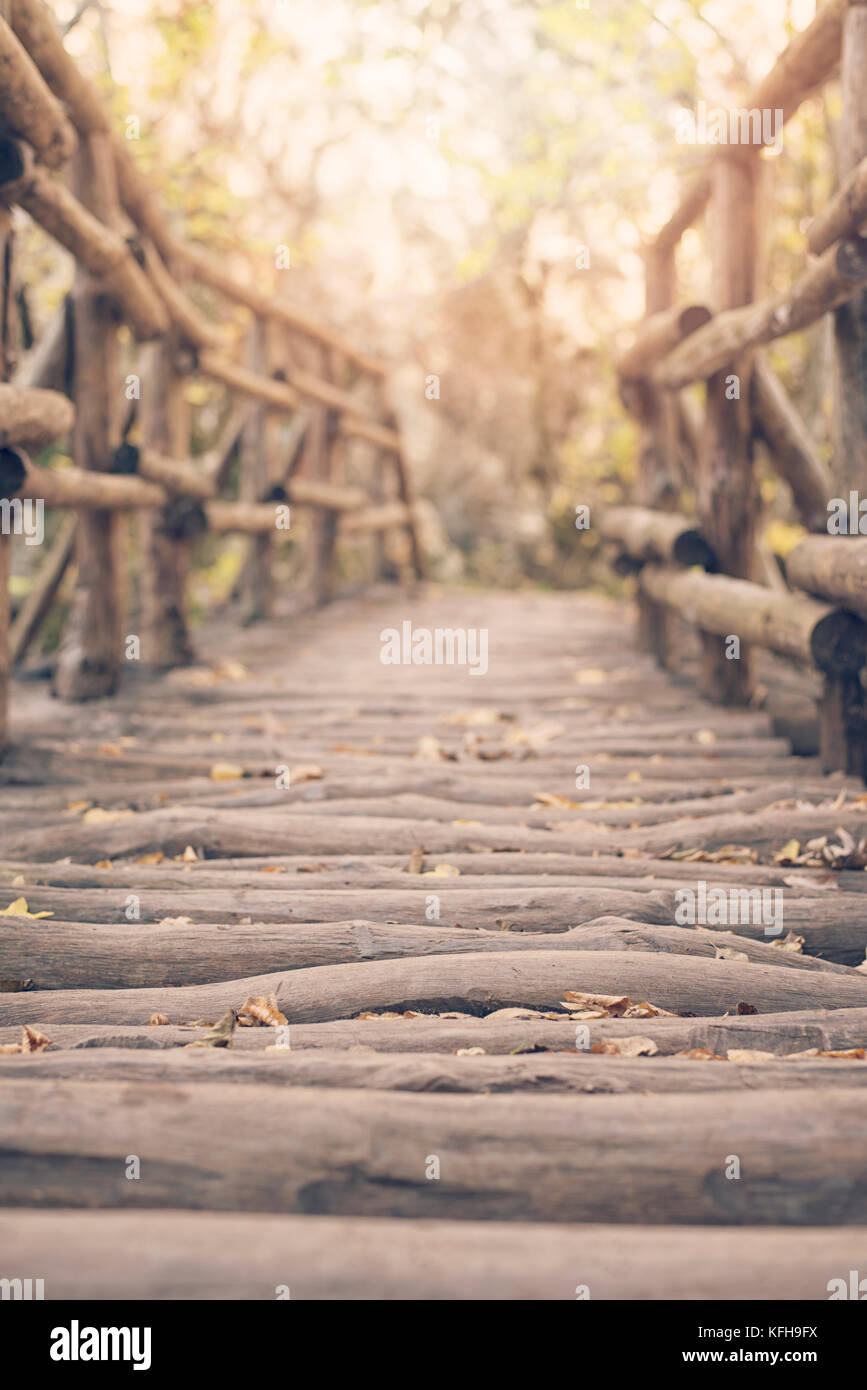 Broken rope bridge hi-res stock photography and images - Alamy