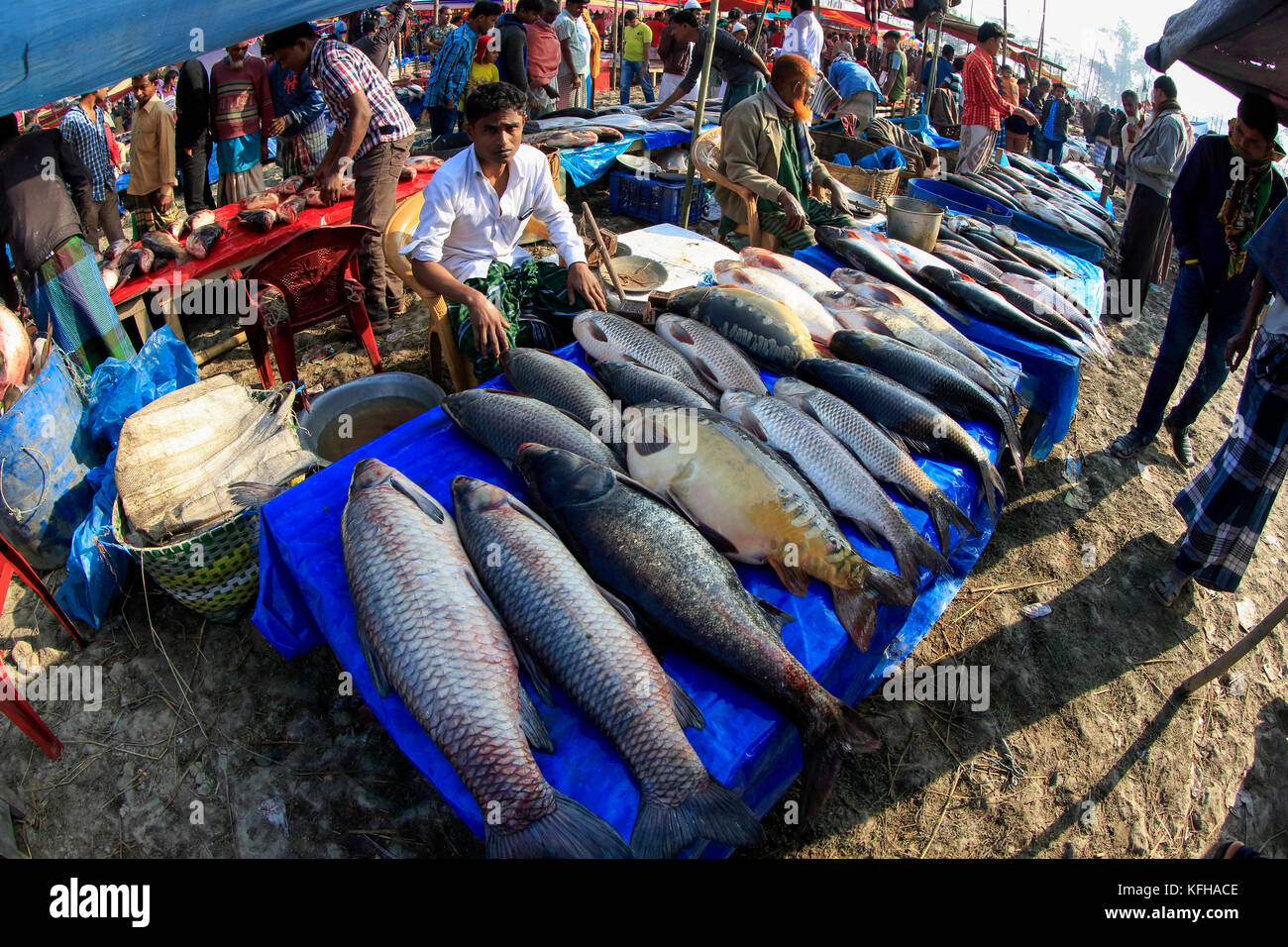 A fish stall at Poradaha Mela near Garidaha River in Gabtali upazila of ...
