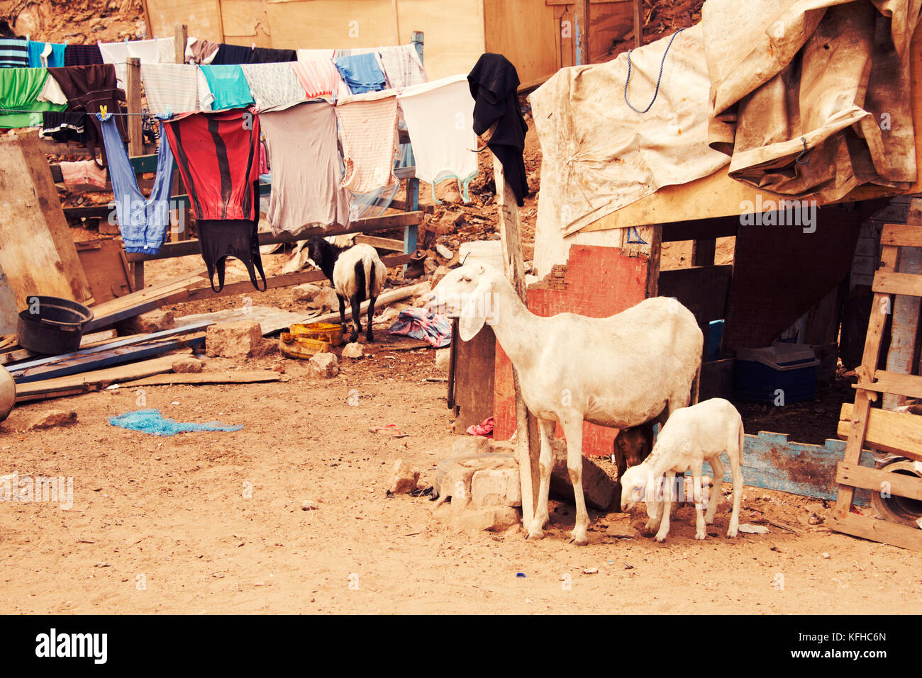 African slums hi-res stock photography and images - Alamy