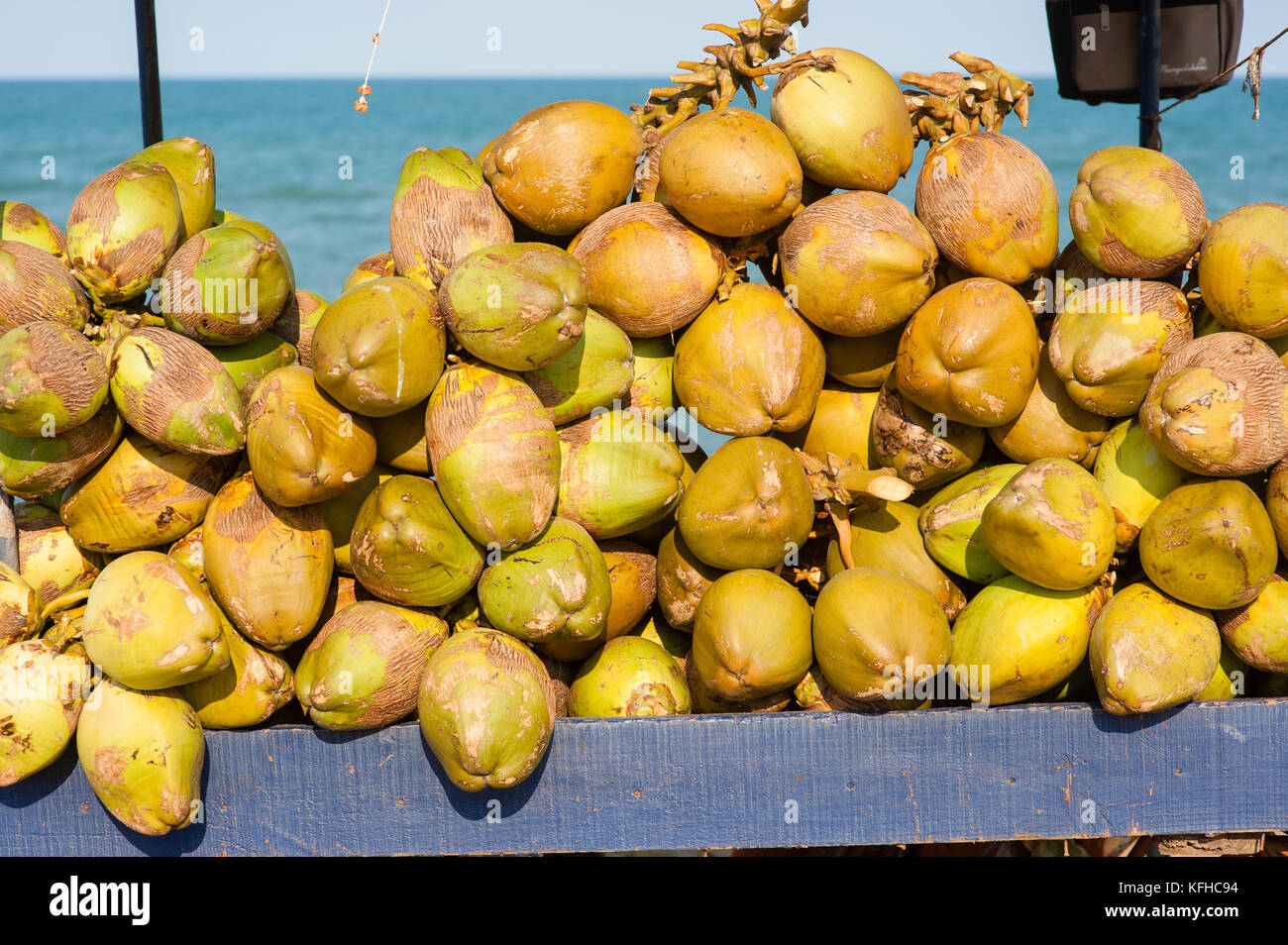 Cart of Coconuts Stock Photo - Alamy