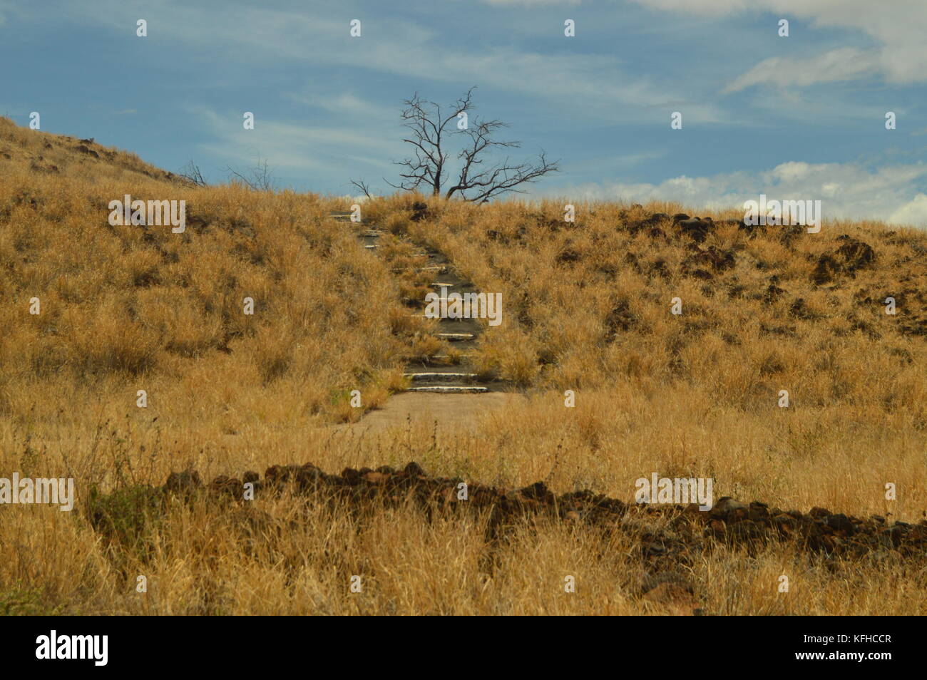 Native Settlement In Hawaii, Big Island. USA, EEUU Stock Photo - Alamy