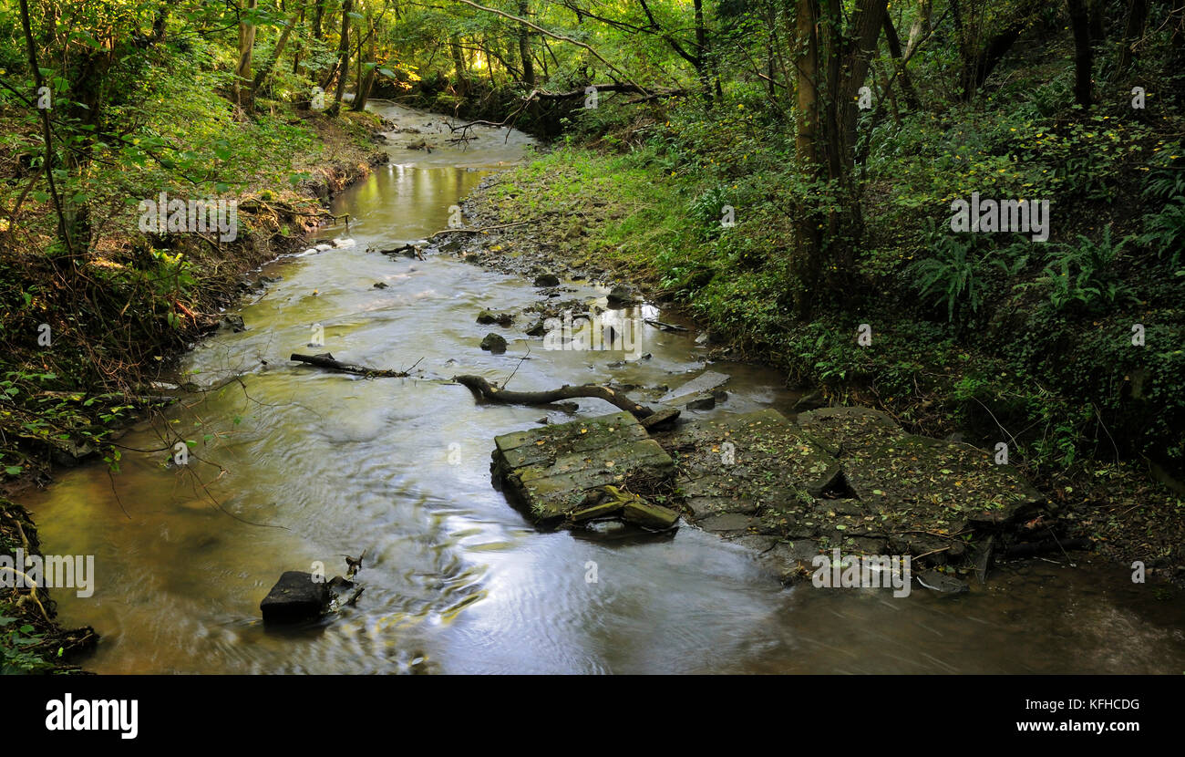 Wick golden valley hi-res stock photography and images - Alamy