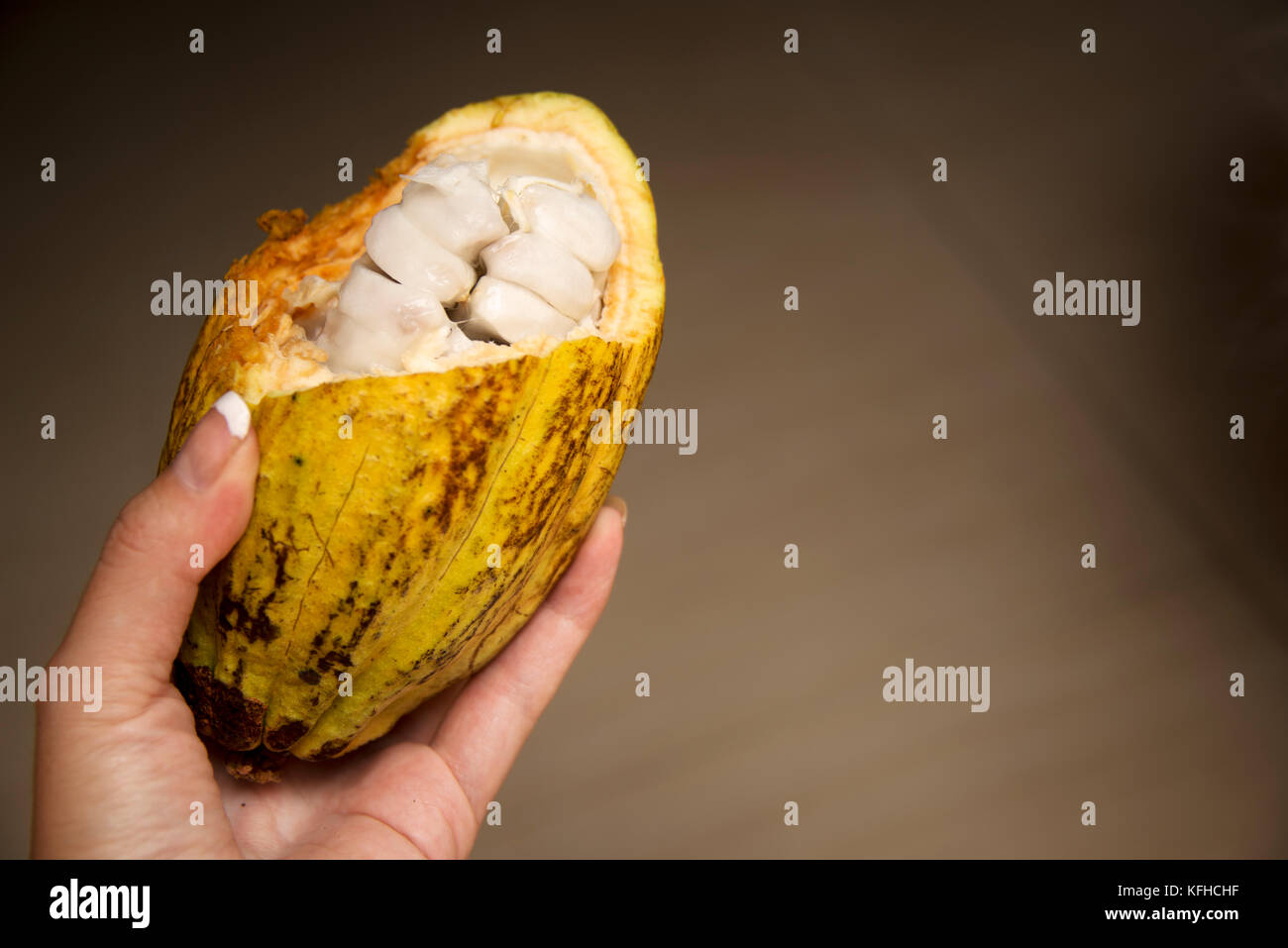 Ghana cocoa hi-res stock photography and images - Alamy