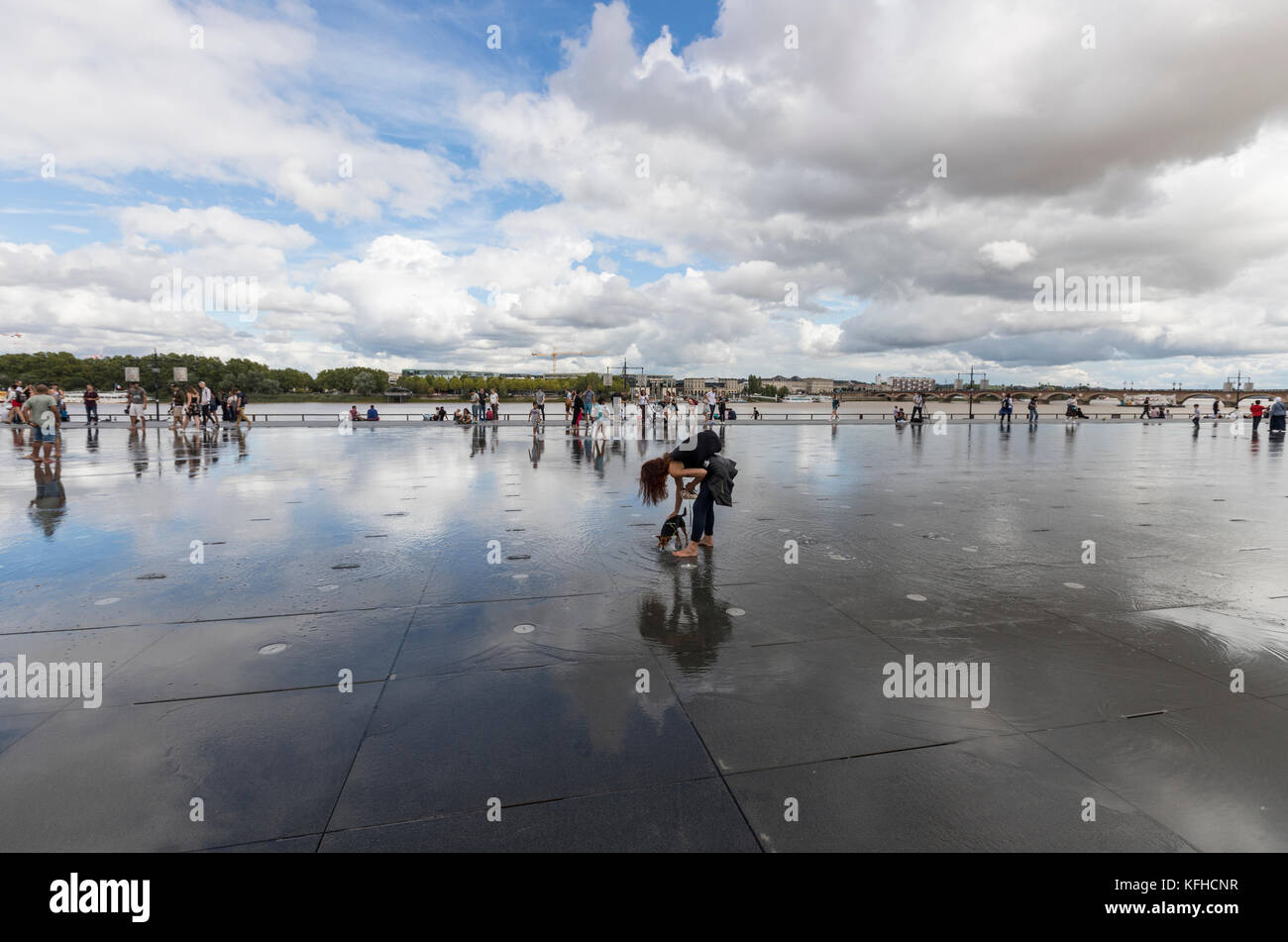 Dog drinking in the Water Mirror, Le Miroir d'eau, the world's largest ...