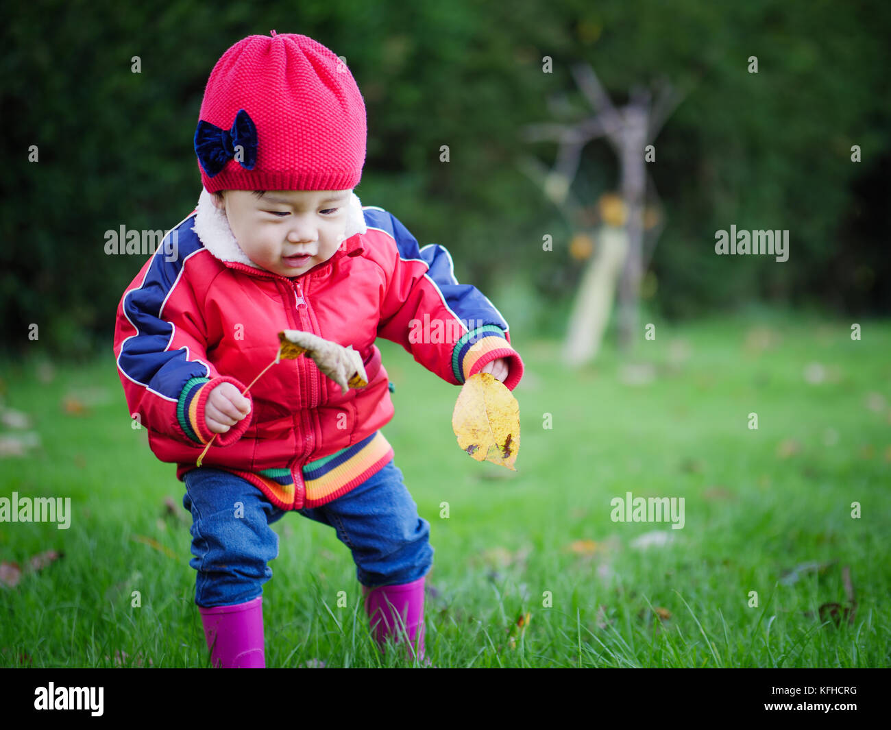 Baby girl playing at Autumn outdoor park Stock Photo - Alamy