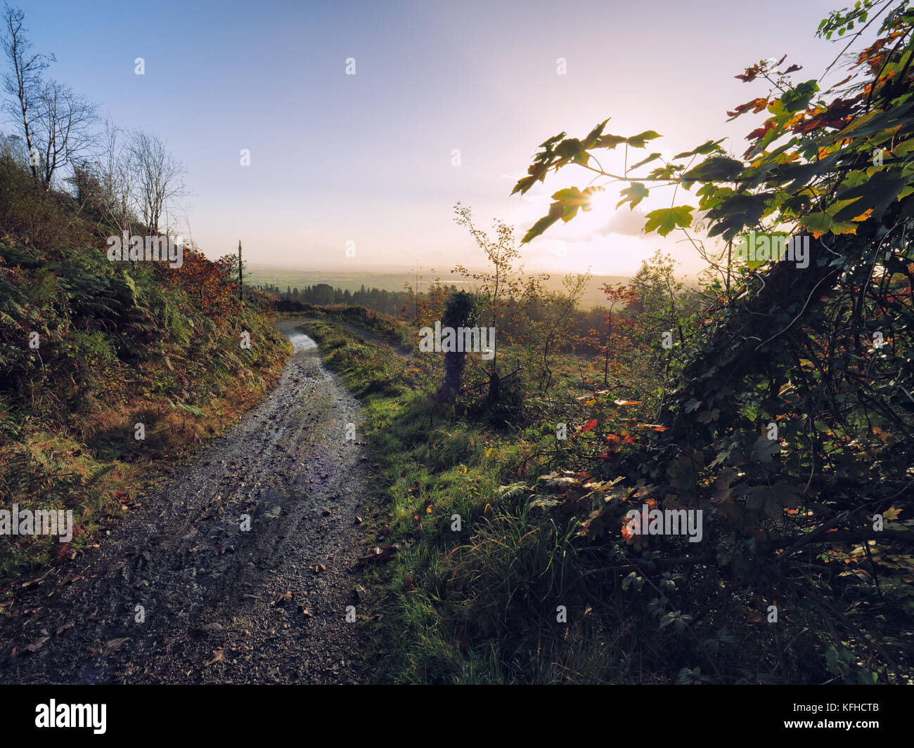 Early Autumn countryside morning,Northern Ireland Stock Photo - Alamy