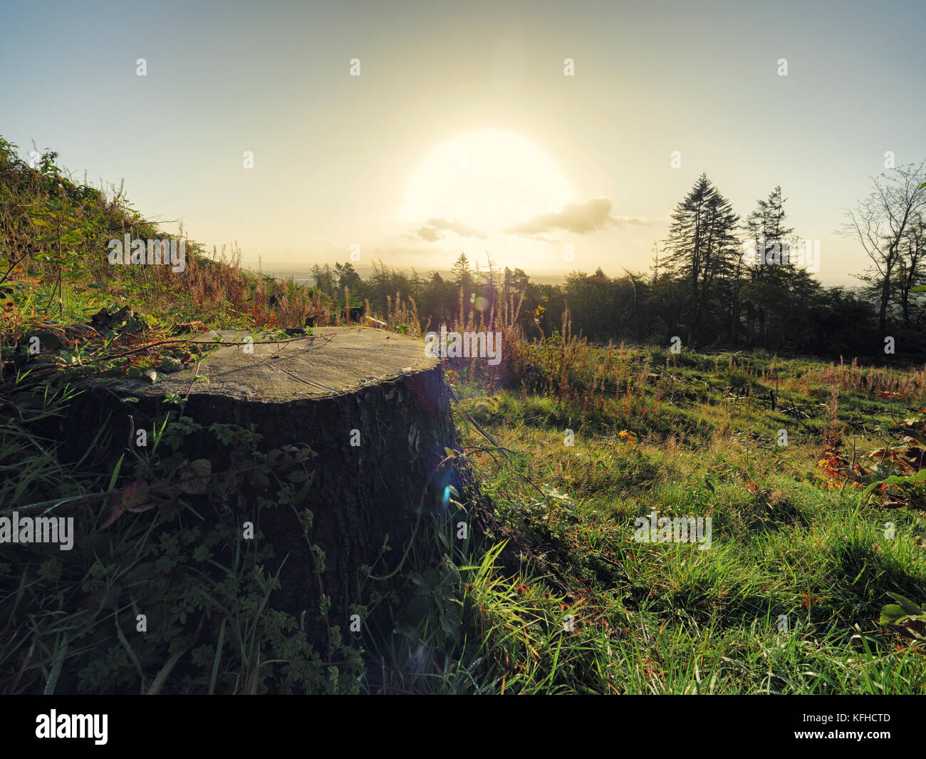 Early Autumn countryside morning,Northern Ireland Stock Photo - Alamy