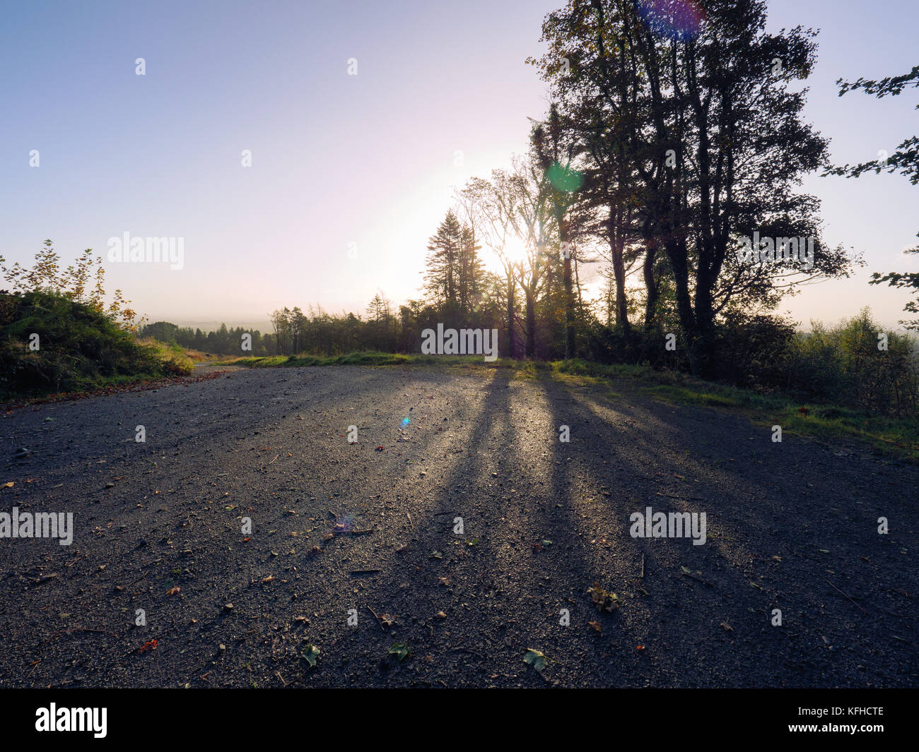 Early Autumn countryside morning,Northern Ireland Stock Photo - Alamy