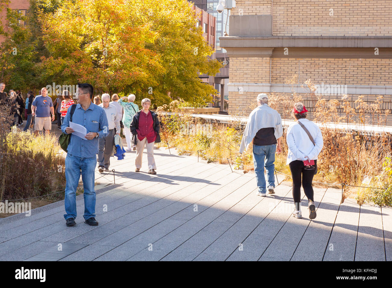 The High Line, Chelsea, New York City, United States of America Stock ...