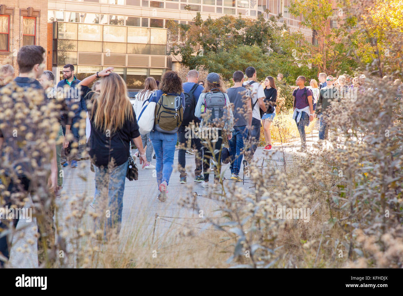 The High Line, Chelsea, New York City, United States of America Stock ...