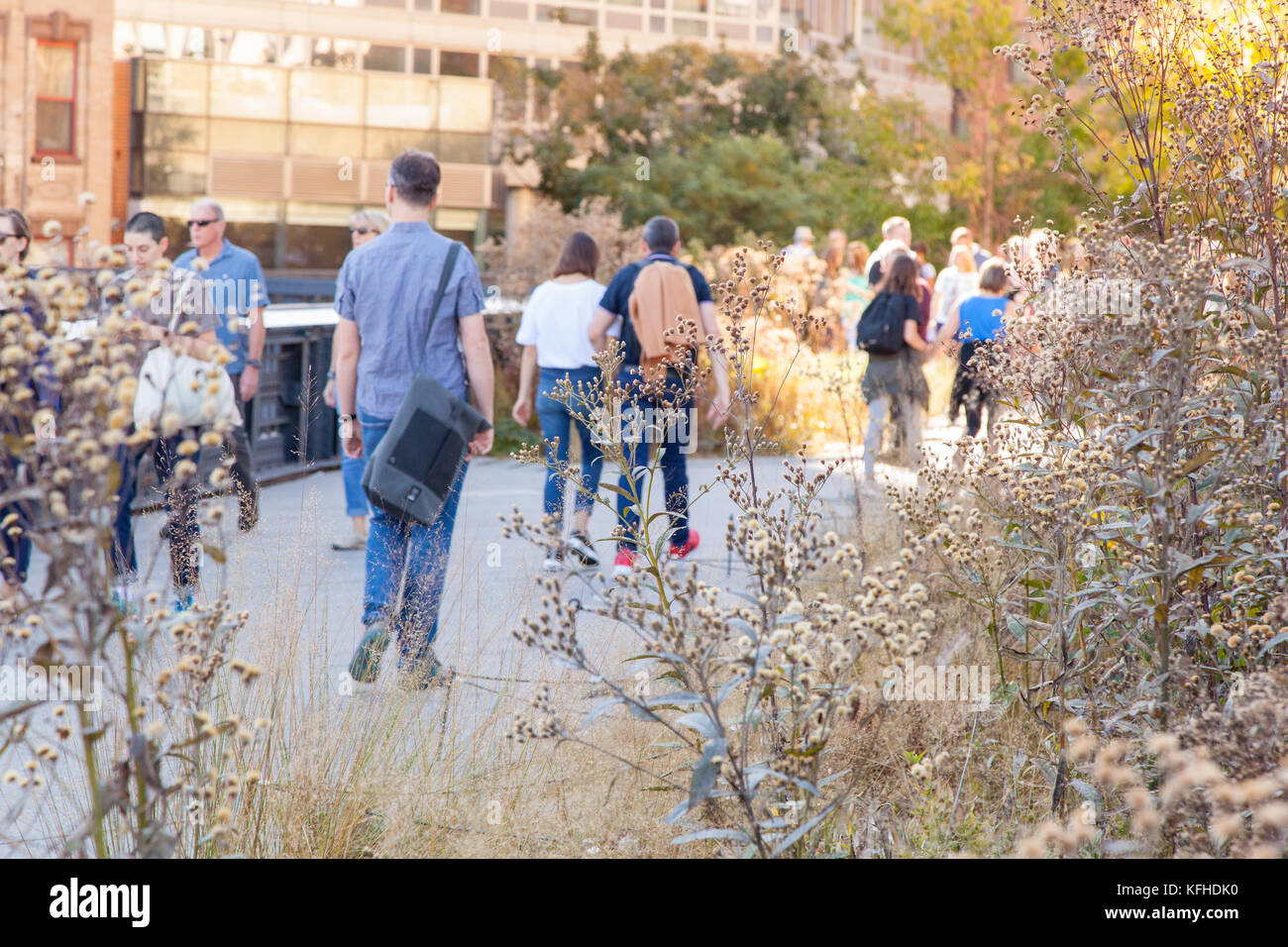 The High Line, Chelsea, New York City, United States of America Stock ...