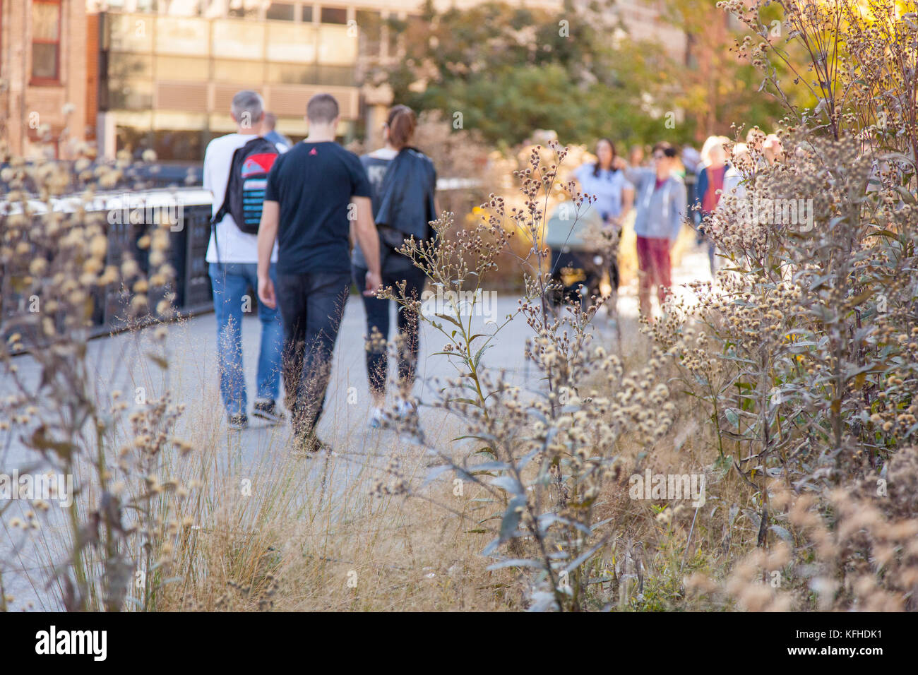 The High Line, Chelsea, New York City, United States of America Stock ...