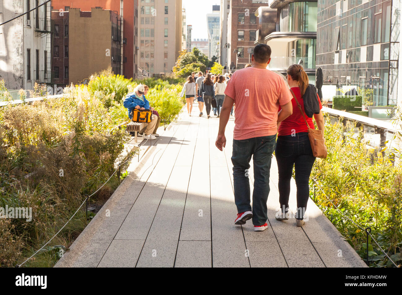 The High Line, Chelsea, New York City, United States of America Stock ...