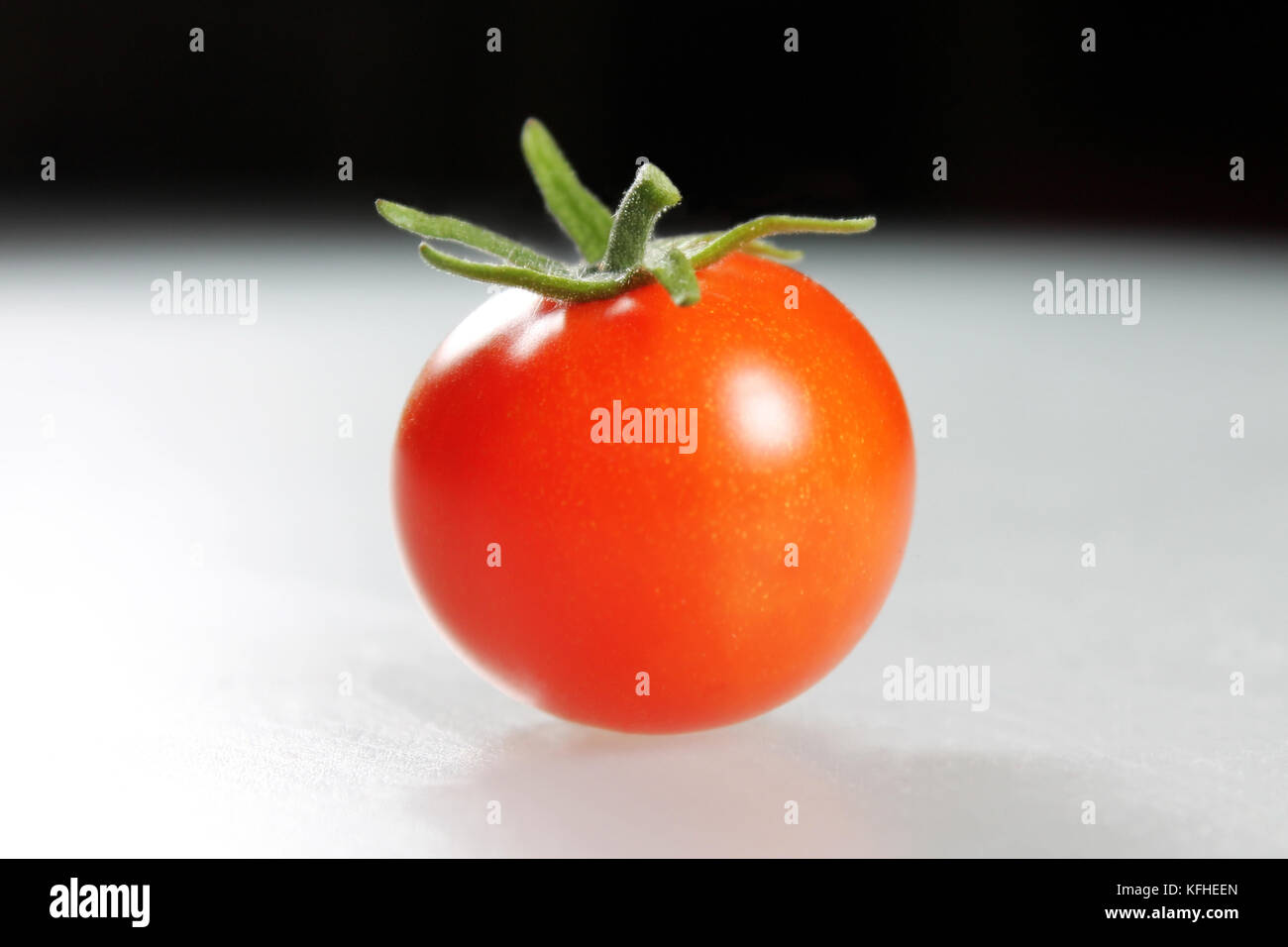 Fresh red tomato in studio Stock Photo - Alamy