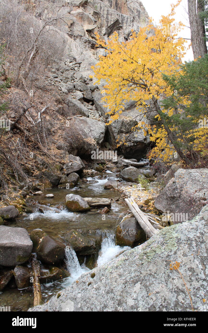 Cold Mountain Stream In Colorado, Fall Colors Stock Photo - Alamy