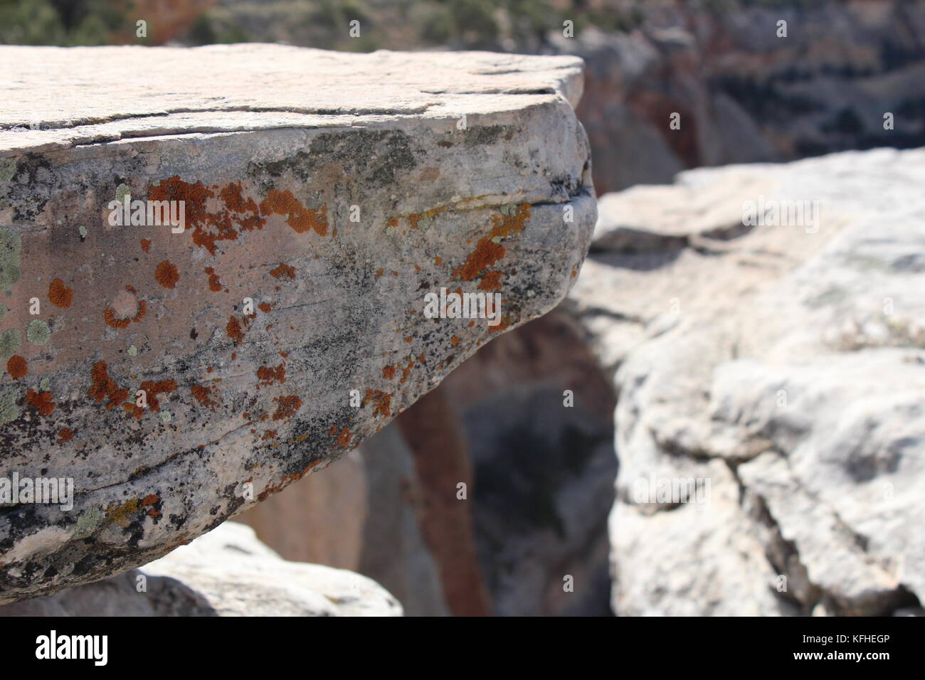 Lichen in the desert hi-res stock photography and images - Alamy