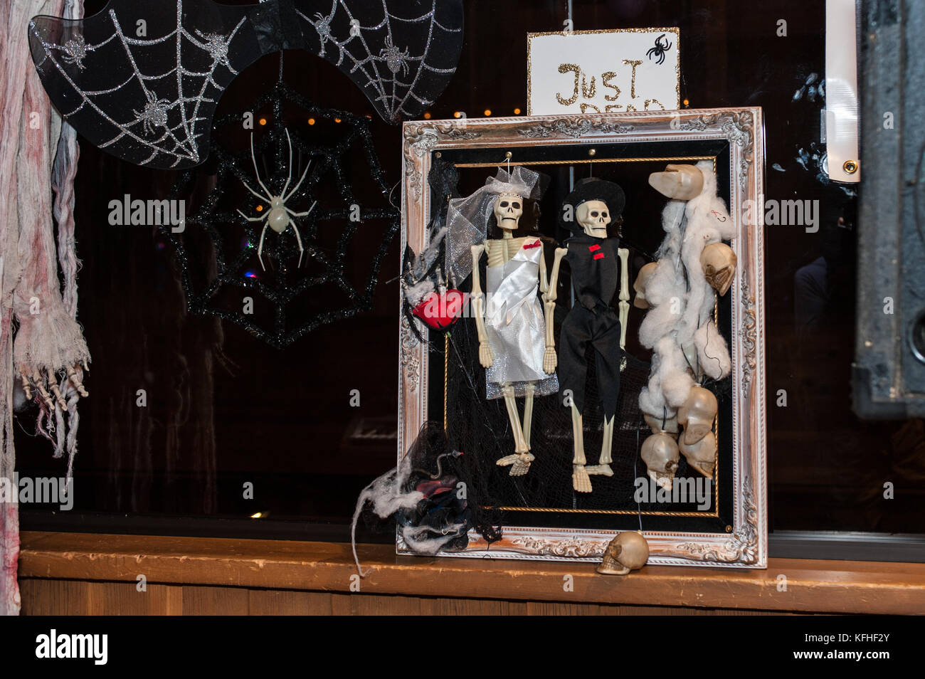 Halloween decoration showing skeletons and skulls hanging in a frame ...
