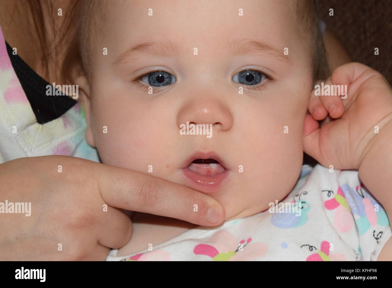 Central lower incisors hi-res stock photography and images - Alamy