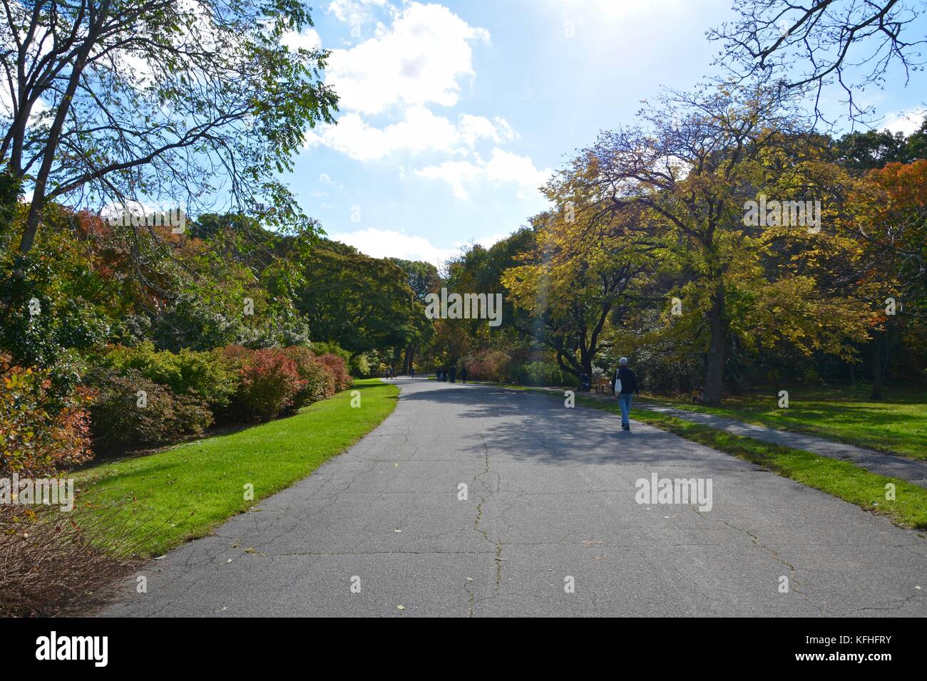 Fall Foliage and the Boston skyline seen from the Arnold Arboretum in ...