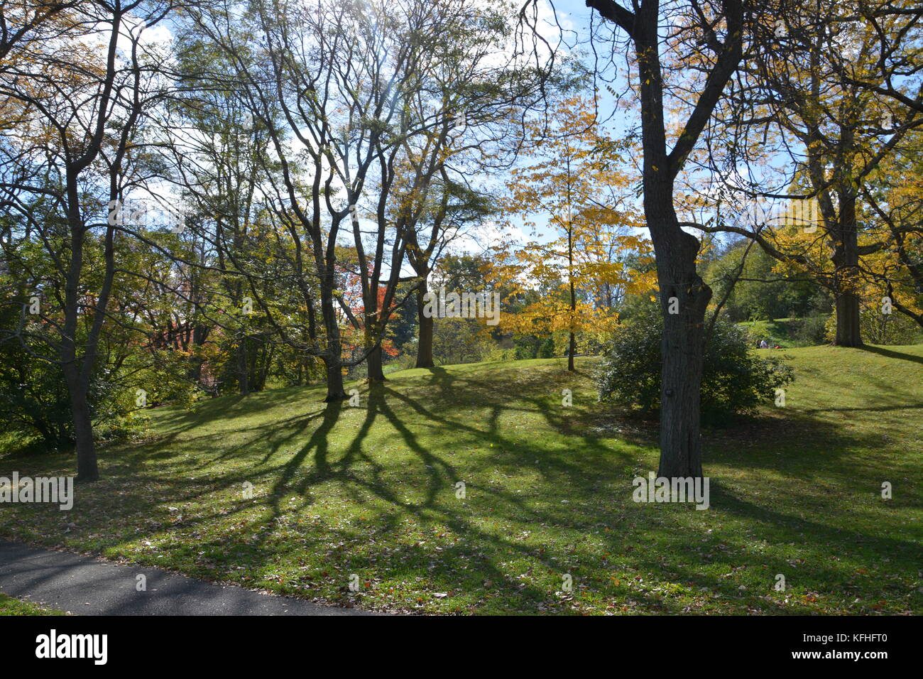 Fall Foliage and the Boston skyline seen from the Arnold Arboretum in ...