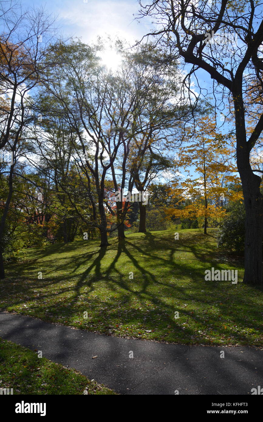 Fall Foliage and the Boston skyline seen from the Arnold Arboretum in ...