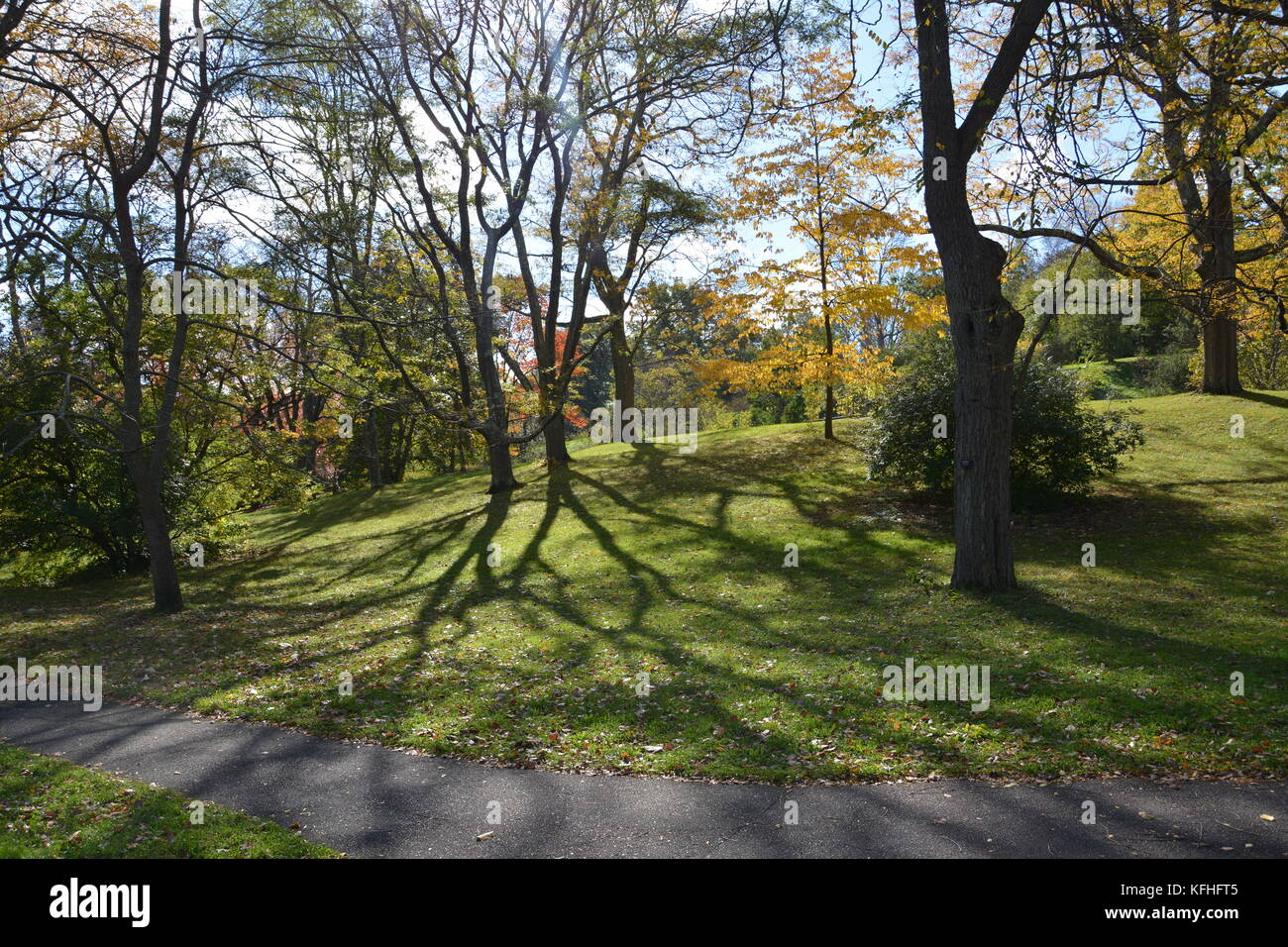 Fall Foliage and the Boston skyline seen from the Arnold Arboretum in ...