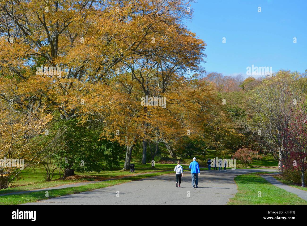 Fall Foliage and the Boston skyline seen from the Arnold Arboretum in ...