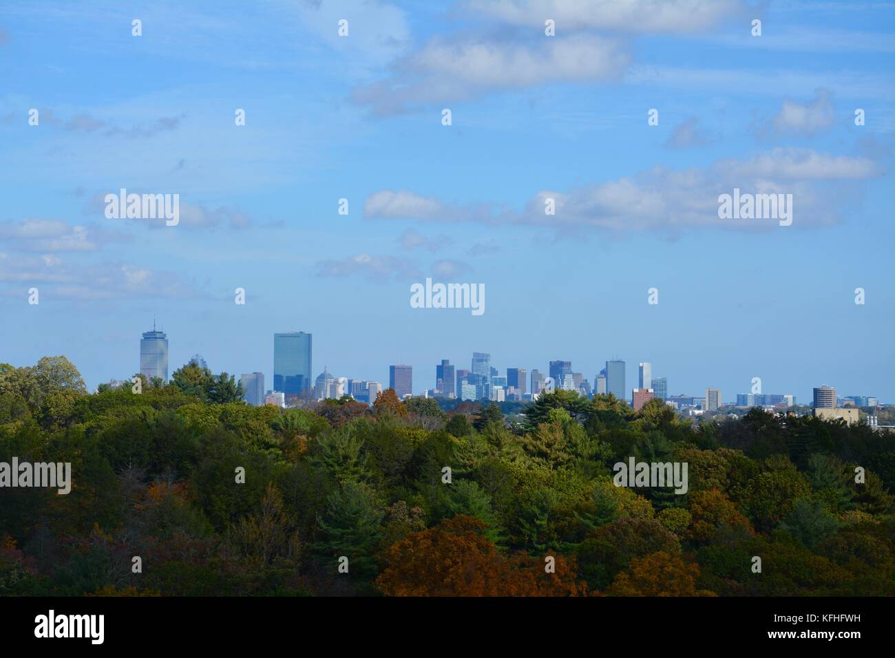 Fall Foliage and the Boston skyline seen from the Arnold Arboretum in ...