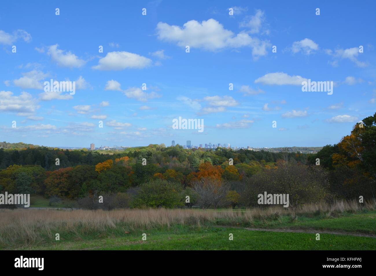 Fall Foliage and the Boston skyline seen from the Arnold Arboretum in ...