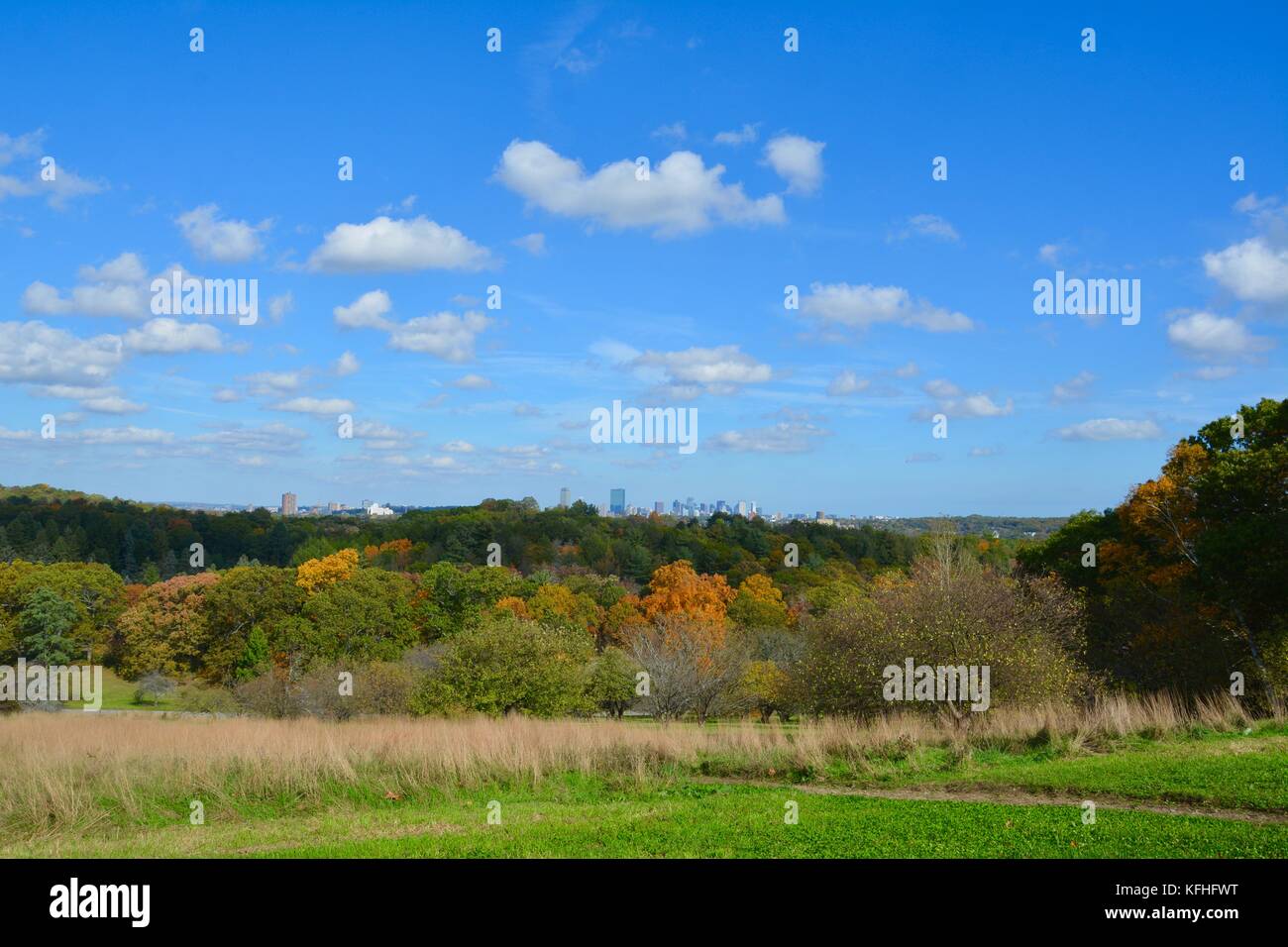 Fall Foliage and the Boston skyline seen from the Arnold Arboretum in ...