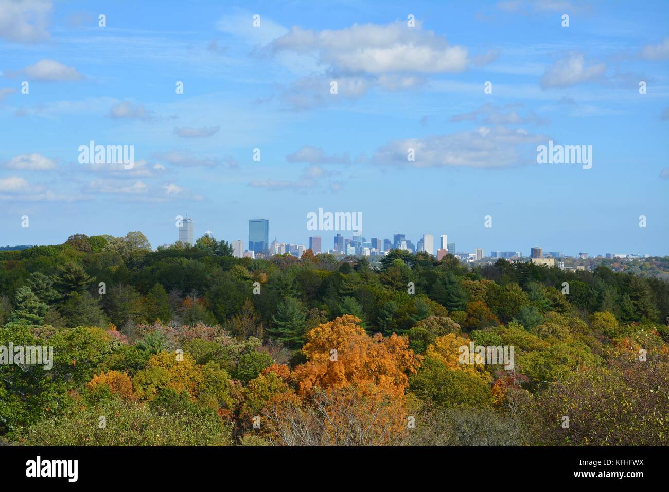 Fall Foliage and the Boston skyline seen from the Arnold Arboretum in ...