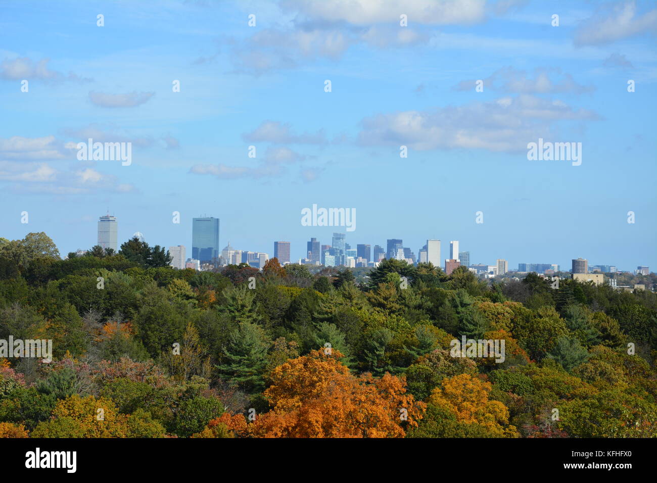 Fall Foliage and the Boston skyline seen from the Arnold Arboretum in ...