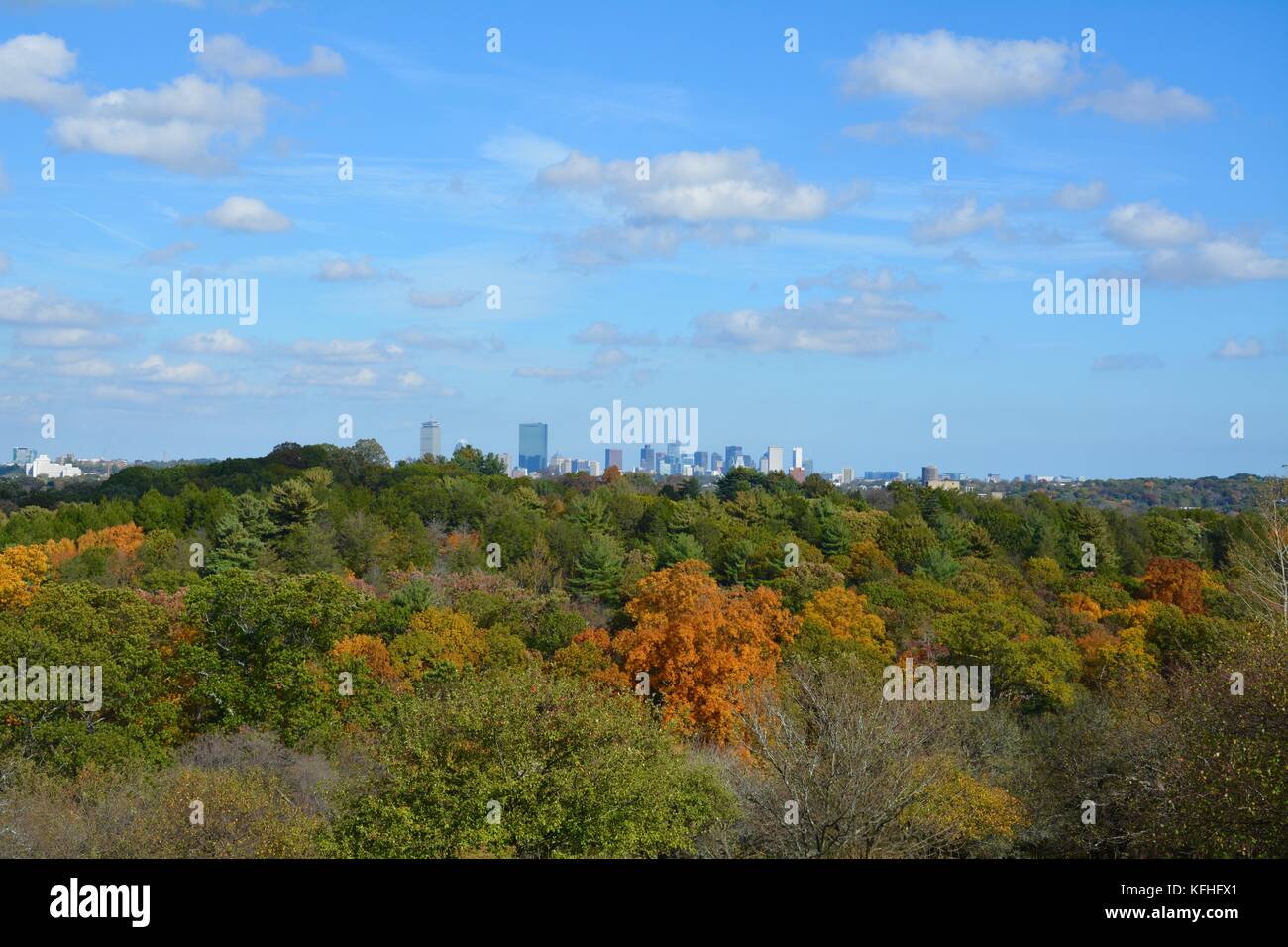 Fall Foliage and the Boston skyline seen from the Arnold Arboretum in ...