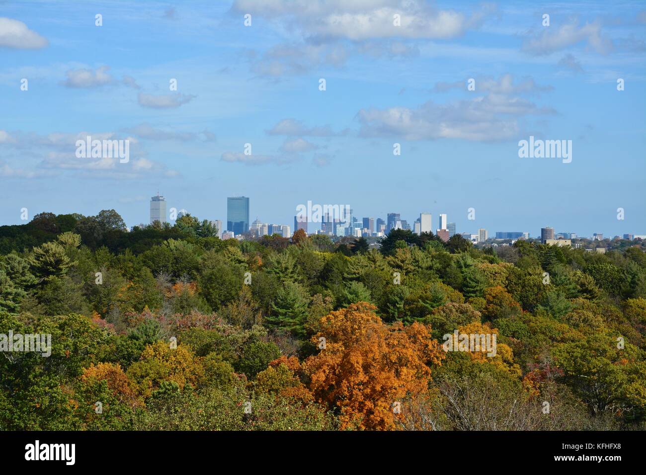 Fall Foliage and the Boston skyline seen from the Arnold Arboretum in ...